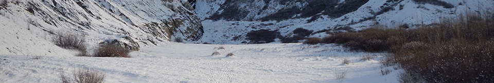 Northern Region Project, Alaska DOT&PF